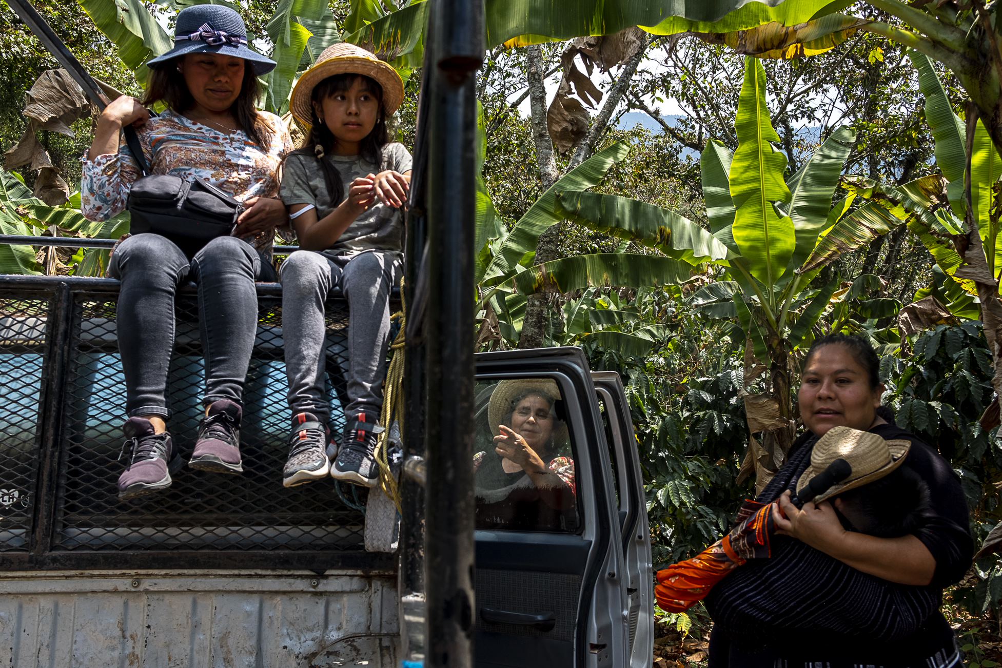 How indigenous women farmers in Mexico are using agroforestry to save ...